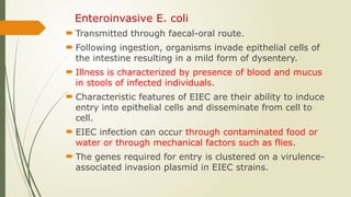 Lab diagnosis, properties of Escherichia coli | PPTX