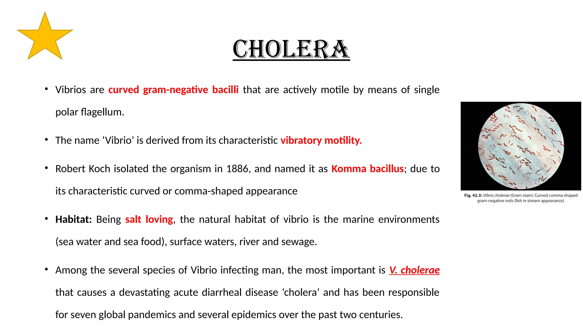 Ecoli diarrhea & Cholera: Pathogenesis and Lab diagnosis.pptx