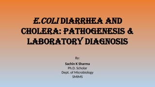Ecoli diarrhea & Cholera: Pathogenesis and Lab diagnosis.pptx
