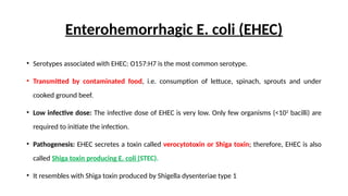 Ecoli diarrhea & Cholera: Pathogenesis and Lab diagnosis.pptx