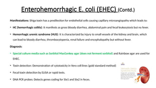 Ecoli diarrhea & Cholera: Pathogenesis and Lab diagnosis.pptx