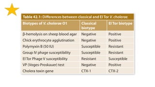 Ecoli diarrhea & Cholera: Pathogenesis and Lab diagnosis.pptx