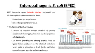 Ecoli diarrhea & Cholera: Pathogenesis and Lab diagnosis.pptx