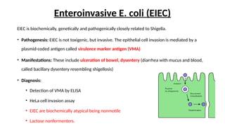 Ecoli diarrhea & Cholera: Pathogenesis and Lab diagnosis.pptx
