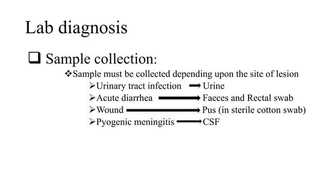 E coli lab types and laboratory diagnosis | PPTX