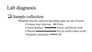 E coli lab types and laboratory diagnosis | PPT