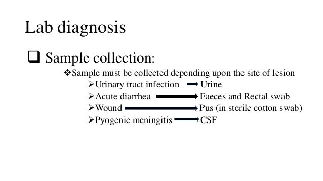 E coli lab types and laboratory diagnosis