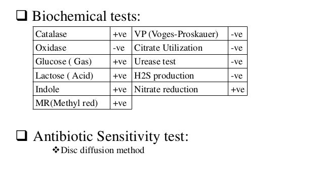 E coli lab types and laboratory diagnosis