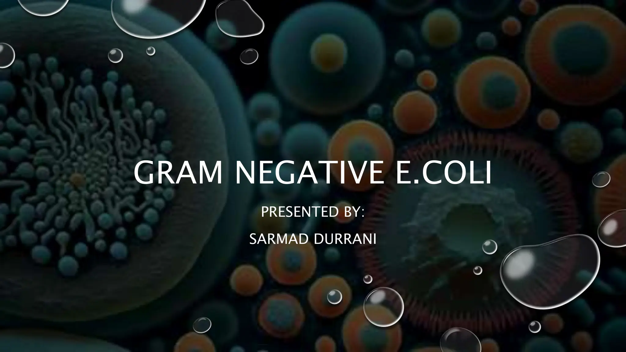 E coli ppt_Sarmad Durrani.pptx