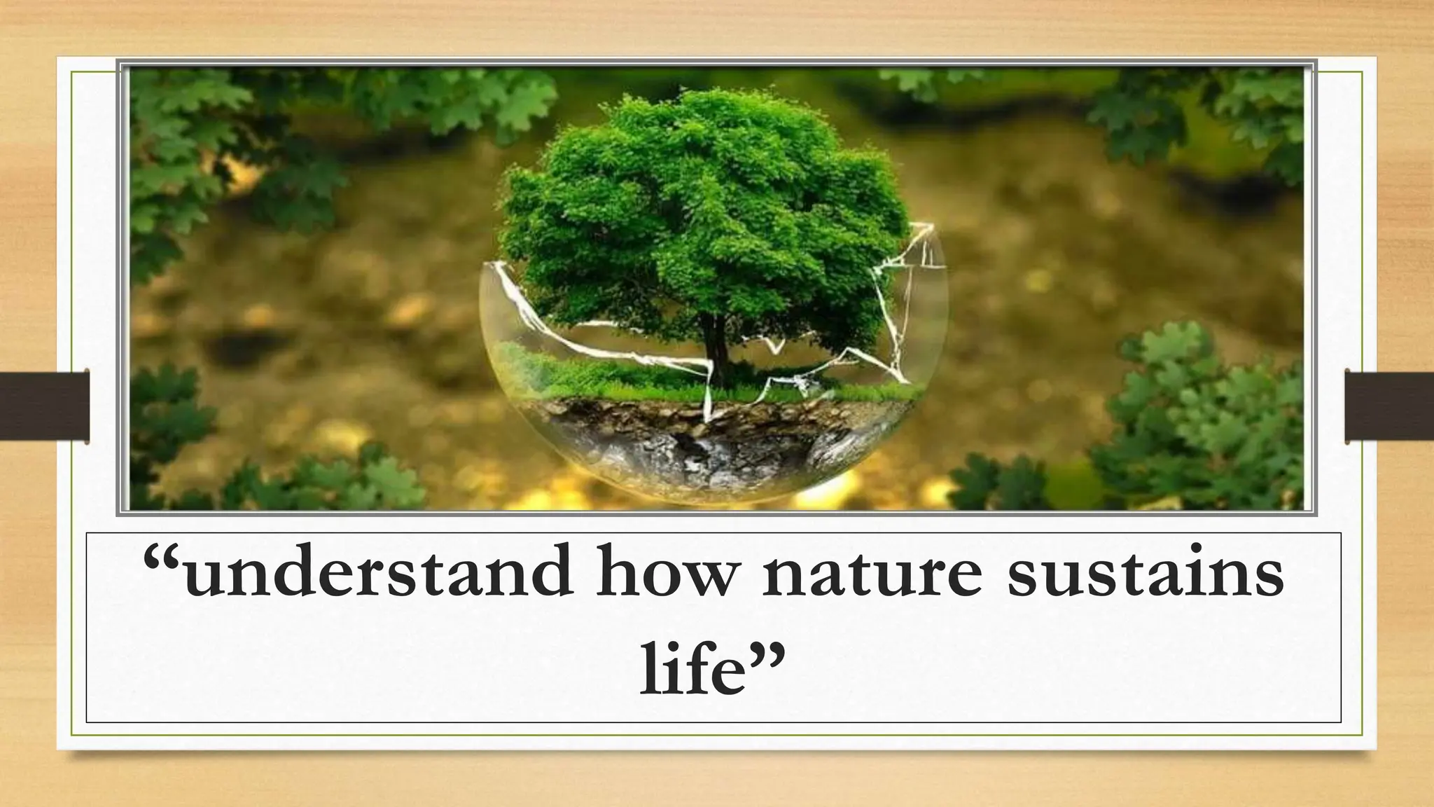 ECOLITERACY.pptx literate in environment | PPTX