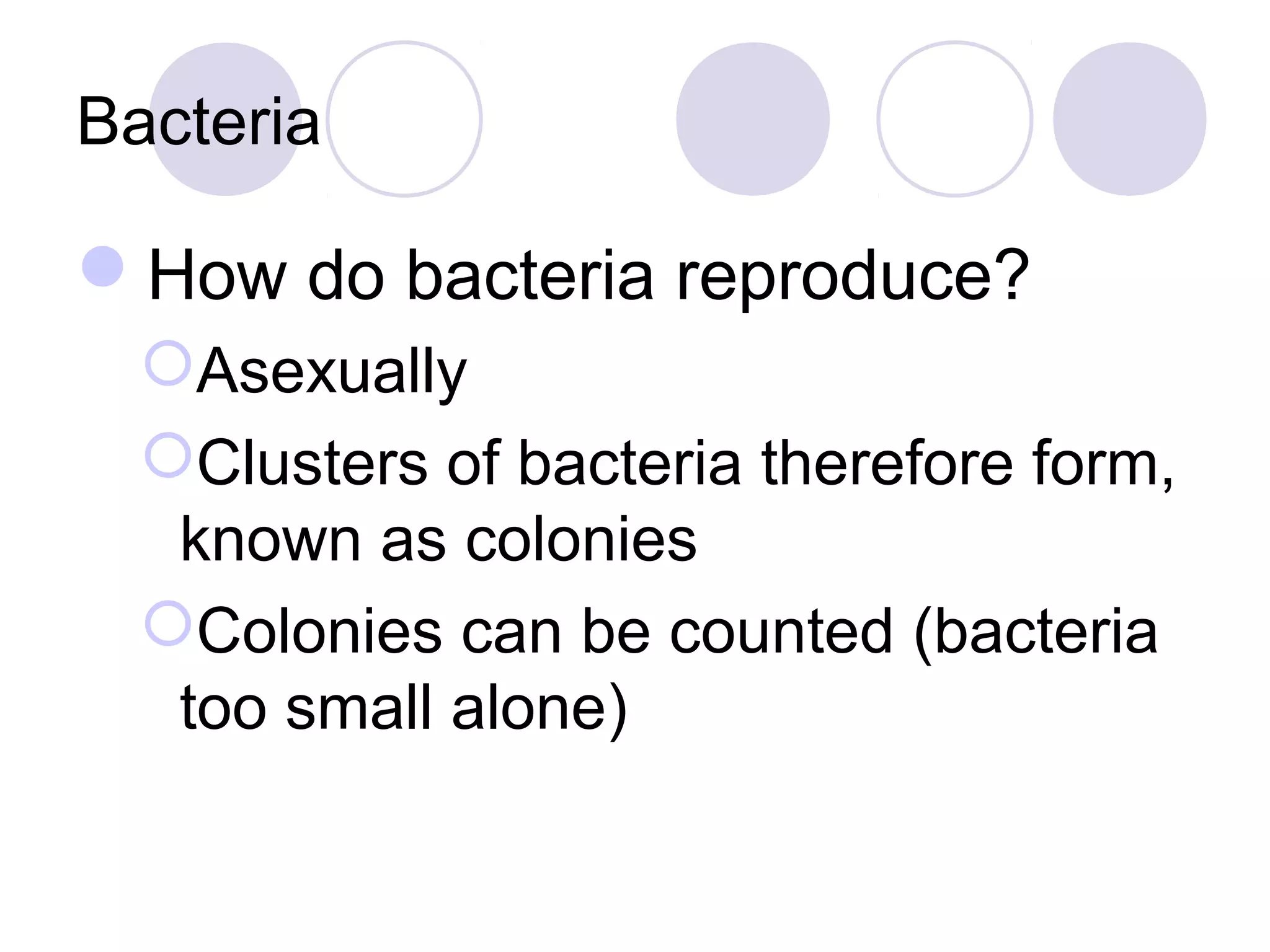E coli testing | PPT | Chemistry | Science