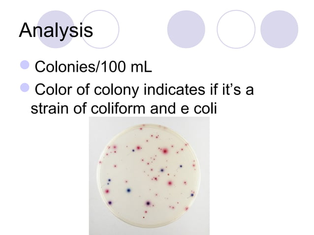 E coli testing | PPT | Chemistry | Science