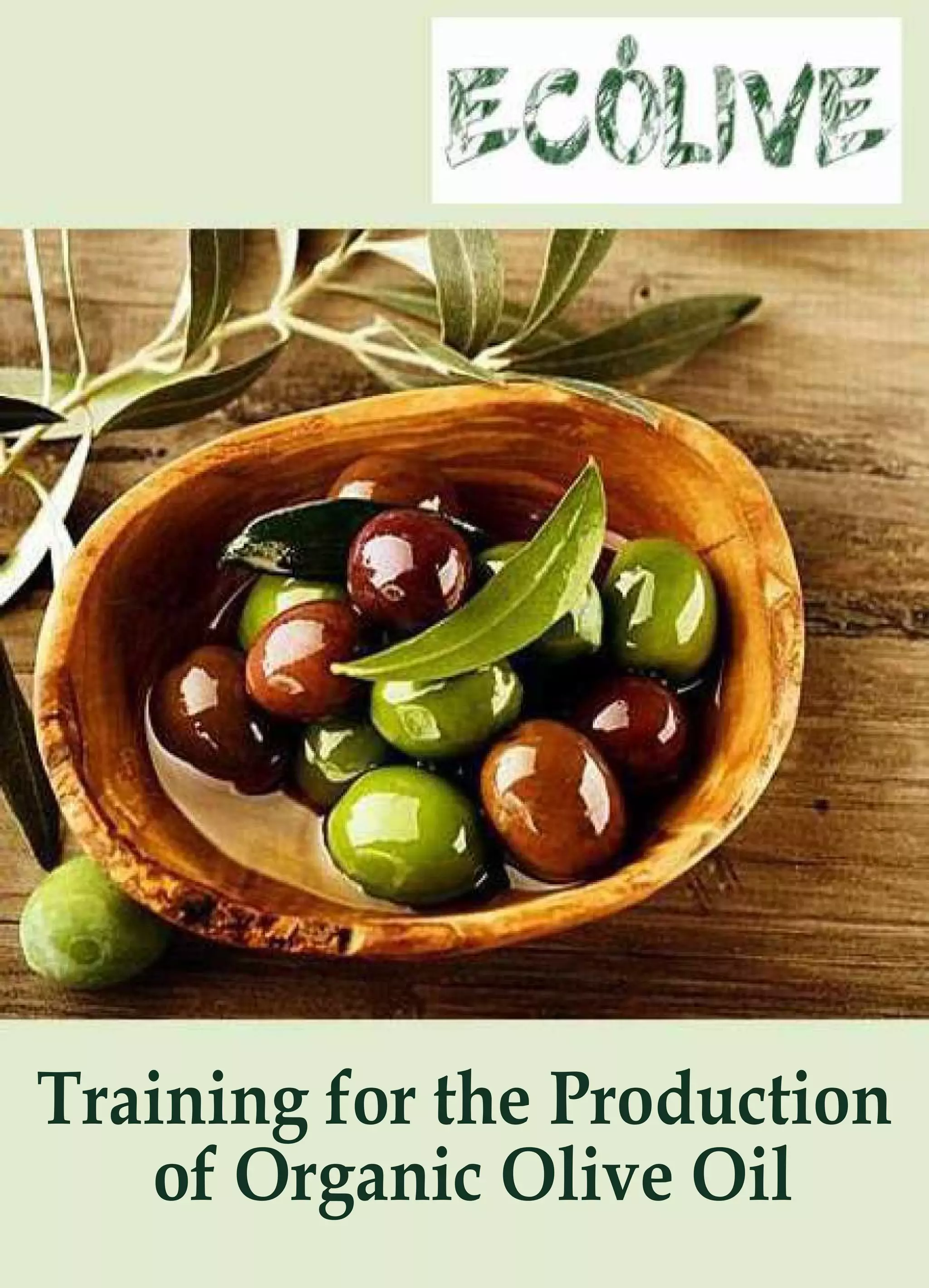 Ecolive module en final | PDF