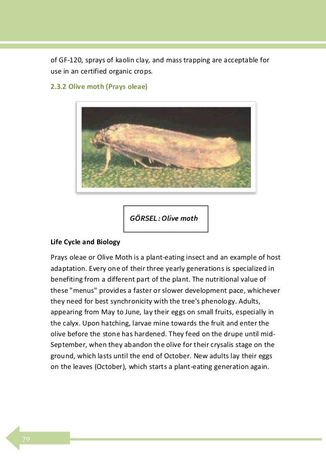 Ecolive module en final