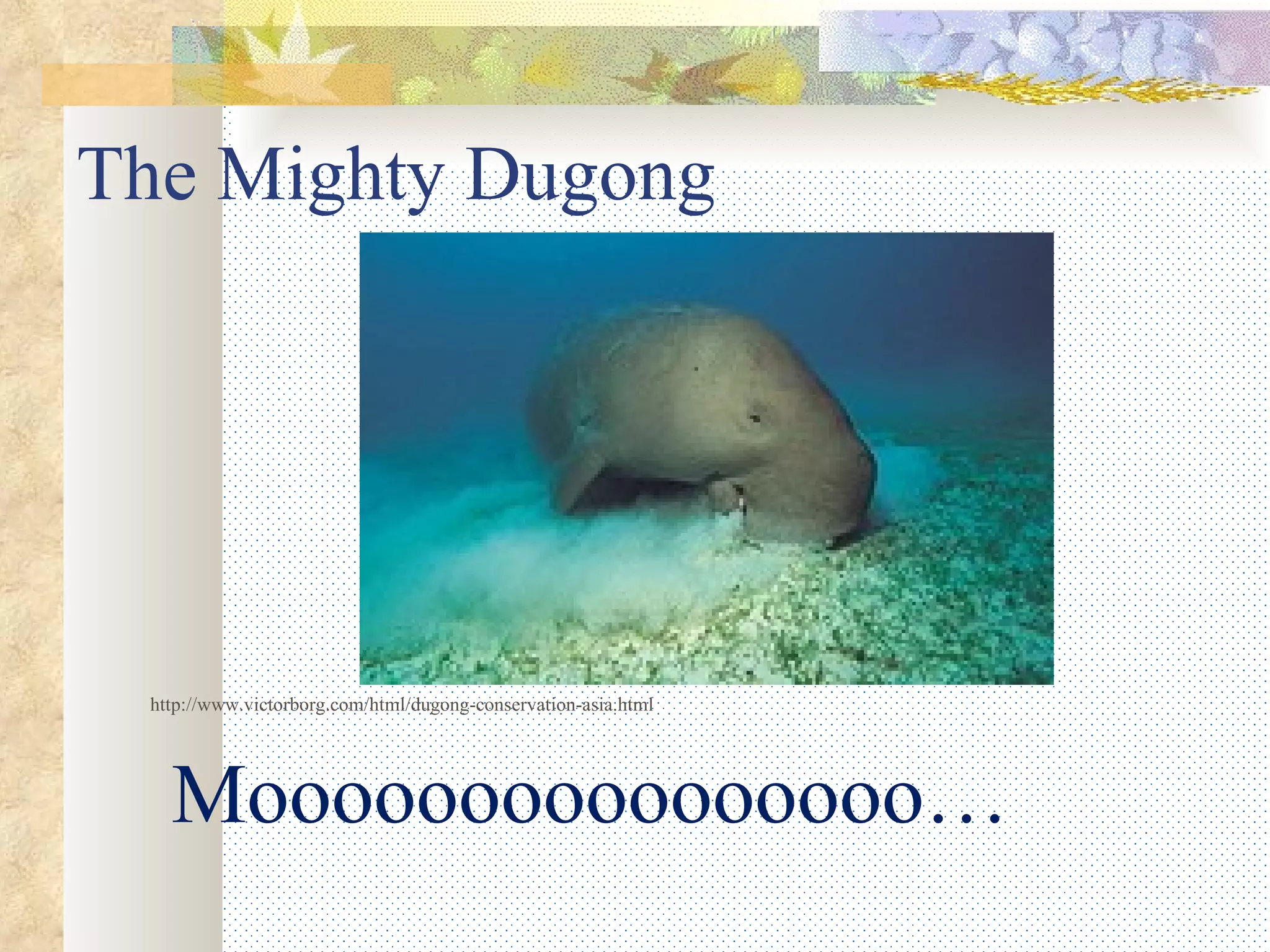 Ecolody issues project | PPT