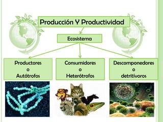 Ecología | PPTX
