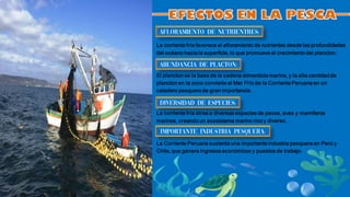 ECOLOGÍA el mar peruano y sus caracteristicas | PDF