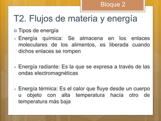 Flujos de energía | PPTX