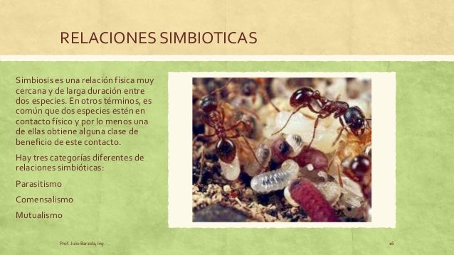 Ecologìa, ecosistemas y medio ambiente