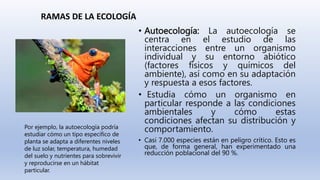 Ecología y sus ramas: aplicaciones y la importancia | PPTX