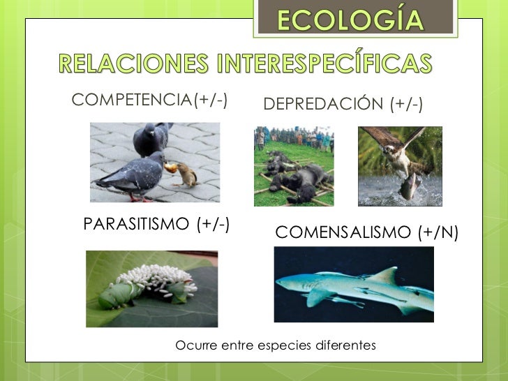Ecologia