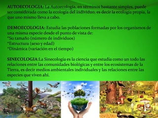 Ecologia | PPT
