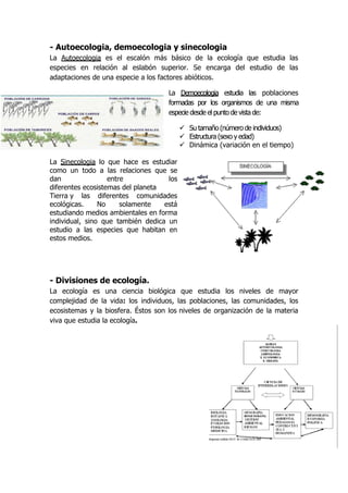 Ecologia | DOCX