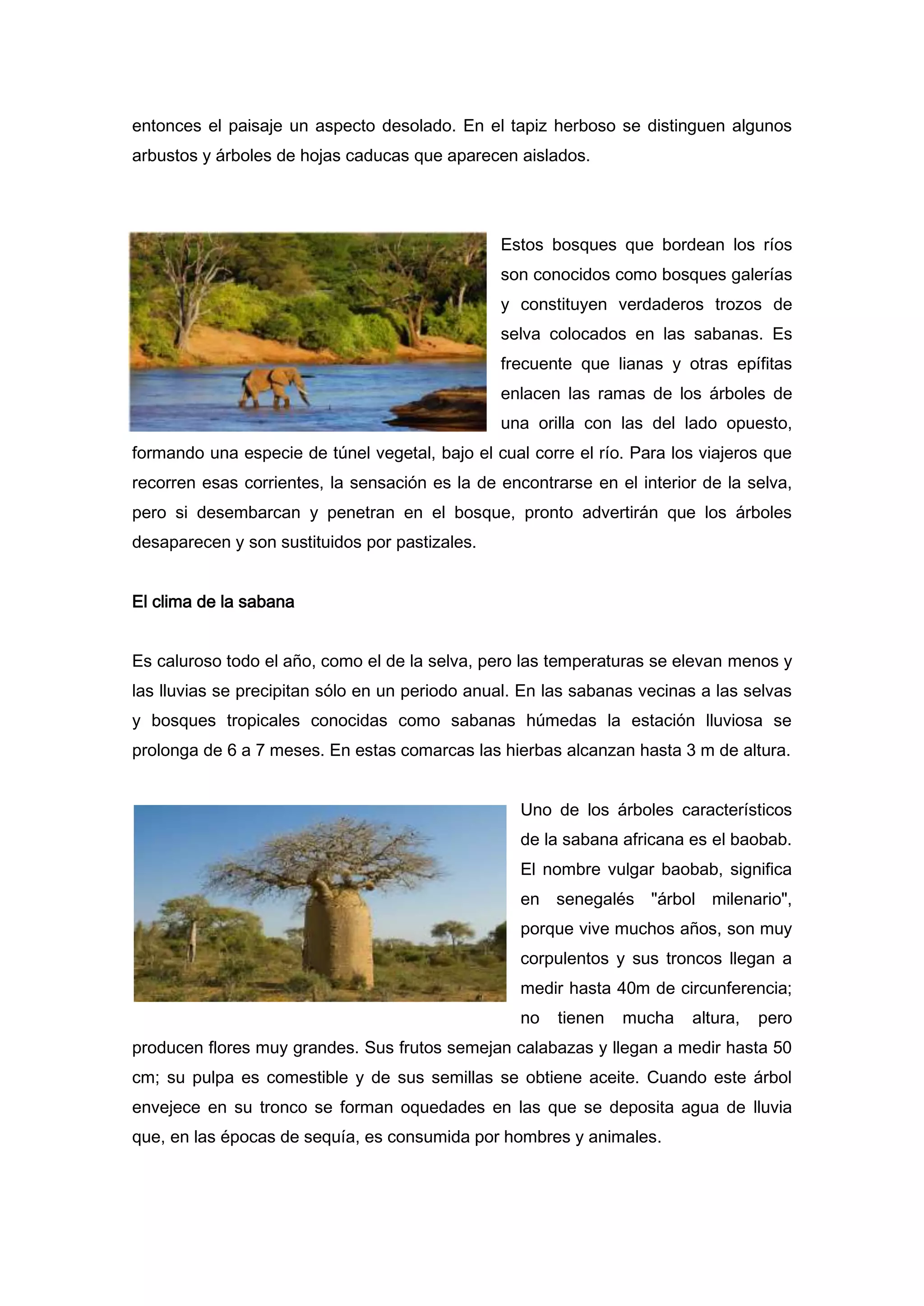 La Sabana y Los Humedales | PDF