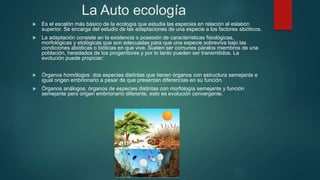 Ecologia | PPTX