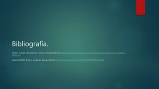 Biomas acuáticos | PPTX