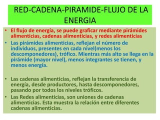 Ecologia redes troficas | PDF