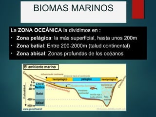Ecologia biomas | PPT
