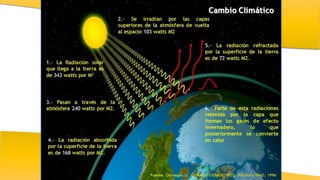 ecologia clima.pptx
