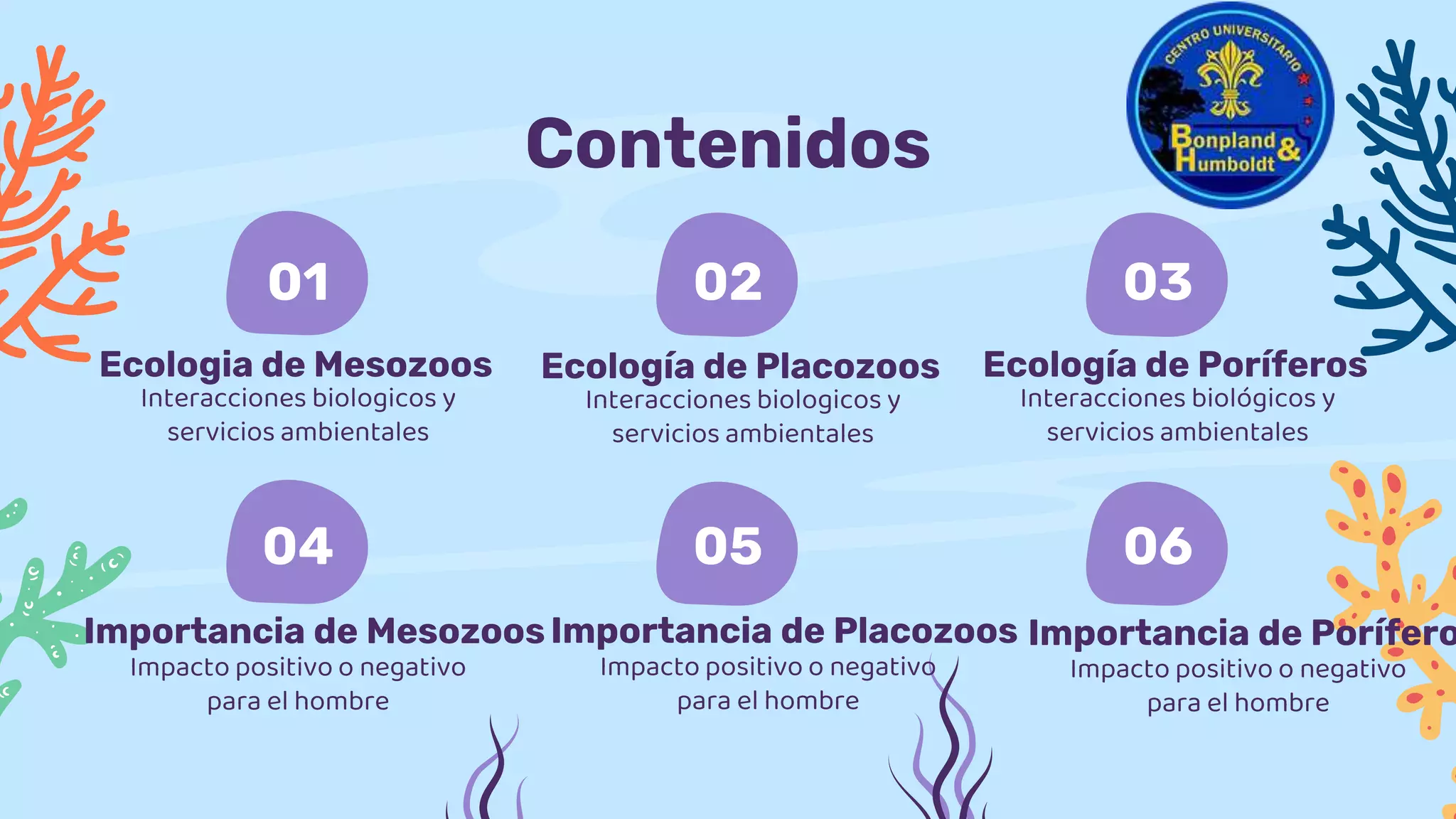 Ecologia de Mezozoos Placozoos y Poriferos final.pptx