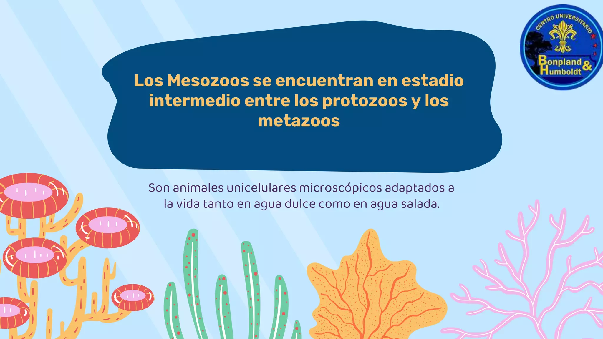 Ecologia de Mezozoos Placozoos y Poriferos final.pptx