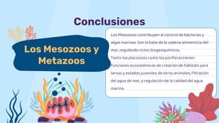 Ecologia de Mezozoos Placozoos y Poriferos final.pptx