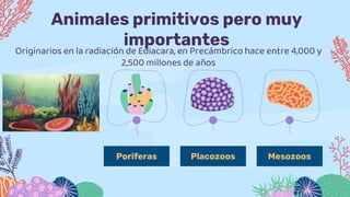 Ecologia de Mezozoos Placozoos y Poriferos final.pptx