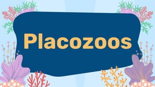 Ecologia de Mezozoos Placozoos y Poriferos final.pptx