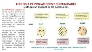 ECOLOGIA DE POBLACIONES Y COMUNIDADES UNDÉCIMO.pdf