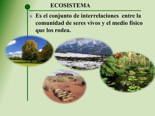 Ecologia, ecosistemas y Poblacion2021.pptx