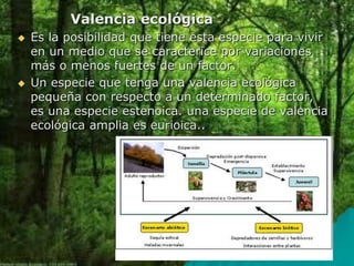 ECOLOGIA FORESTAL2020.pdf