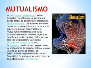 Interacciones Ecológicas | PPTX