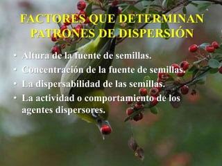 Ecología y la dispersión de semilla | PPTX