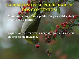 Ecología y la dispersión de semilla | PPTX