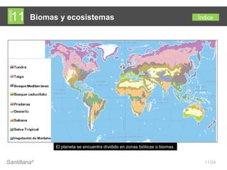 BACHILLERATO EcologÍa y biomas[1] | PPT