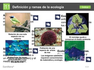 BACHILLERATO EcologÍa y biomas[1] | PPT