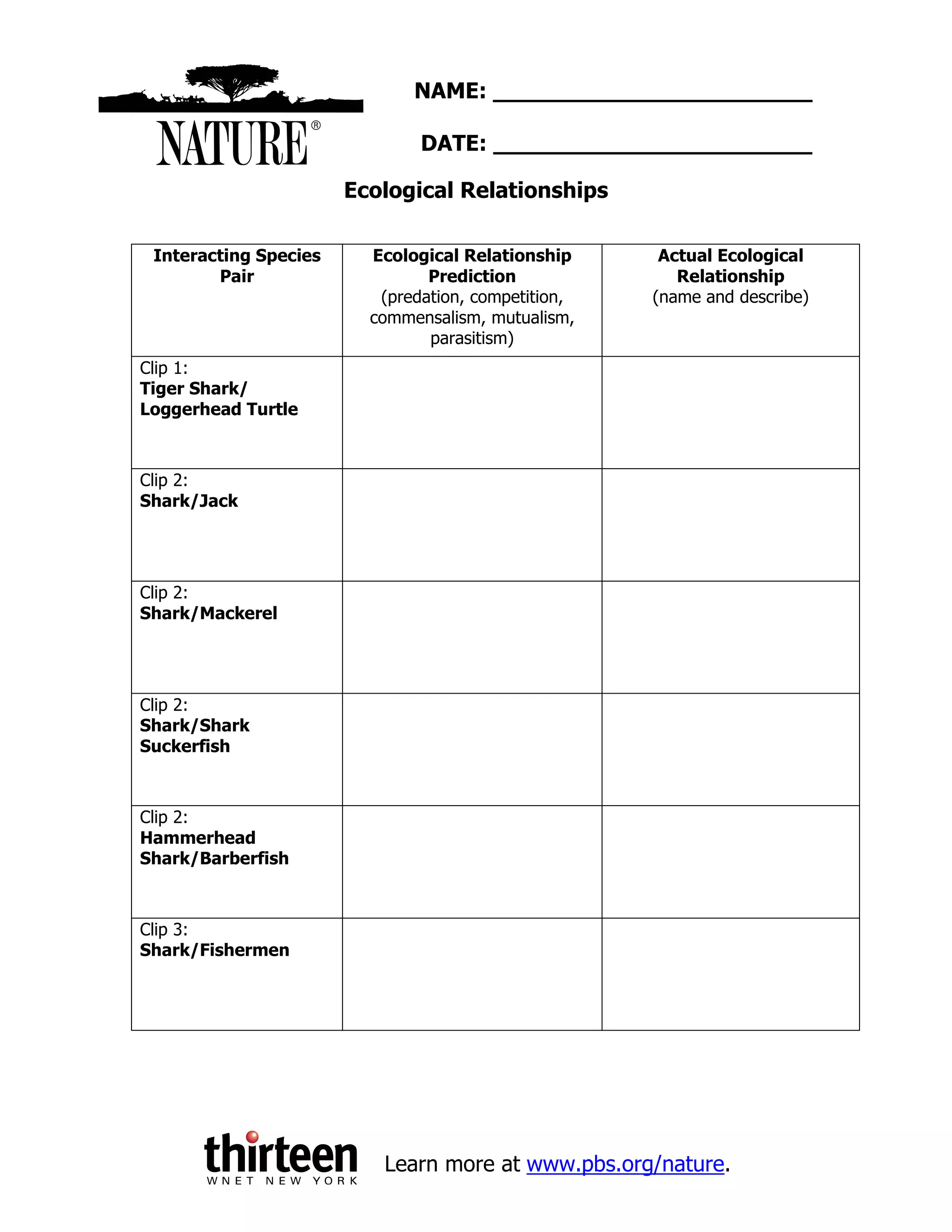 Ecological relationships-student-organizer jsb (1) | PDF