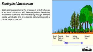 Ecological Succession Mechanisms of Successions | PDF