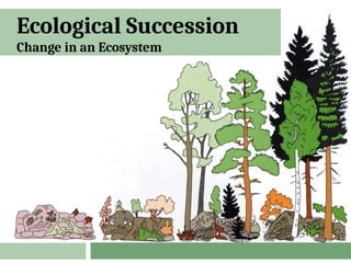 Ecological-Succession-Change-in-an-Ecosystem.ppt