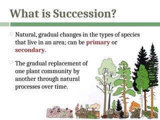 Ecological-Succession-Change-in-an-Ecosystem.ppt